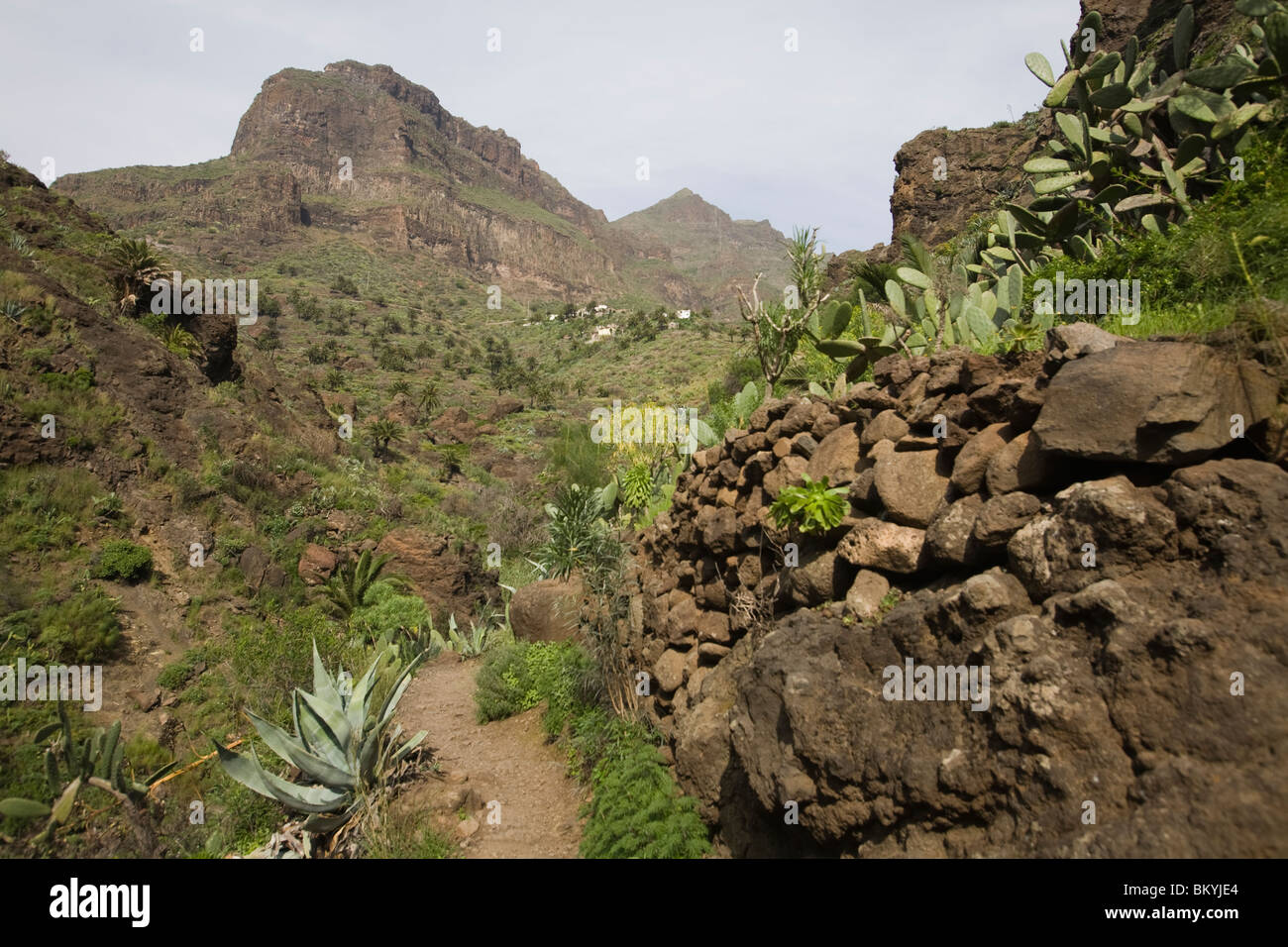 Entrance to masca gorge hi-res stock photography and images - Alamy