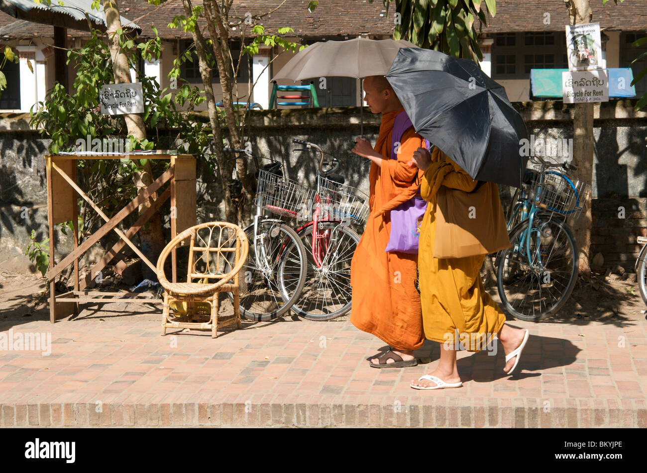 Buddhist monks walk along a street in Luang Prabang Laos Stock Photo ...