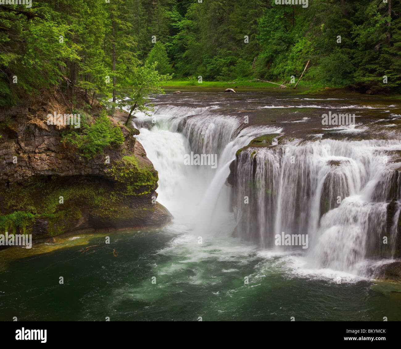 Gifford Pinchot National Forest, WA Lower Lewis River falls in summer ...