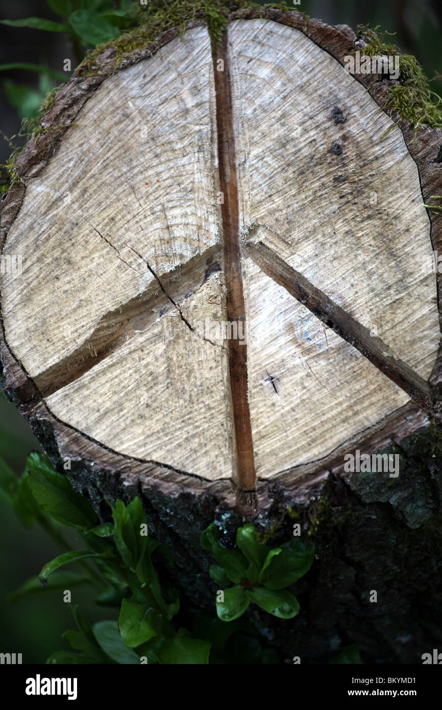 Peace of art hi-res stock photography and images - Alamy