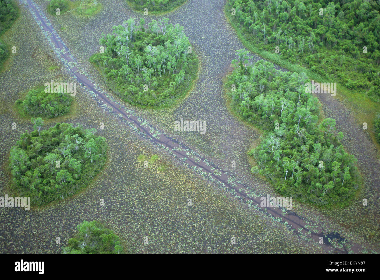Okefenokee swamp aerial hi-res stock photography and images - Alamy