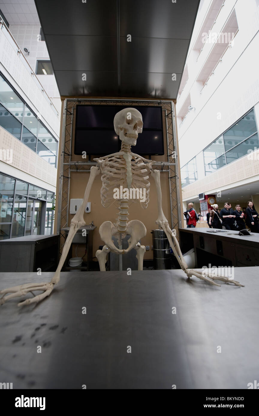 Skeletons building hi-res stock photography and images - Alamy