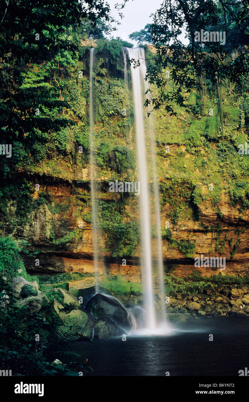 Mexico, Misol Ha Chiapas, waterfall Stock Photo - Alamy
