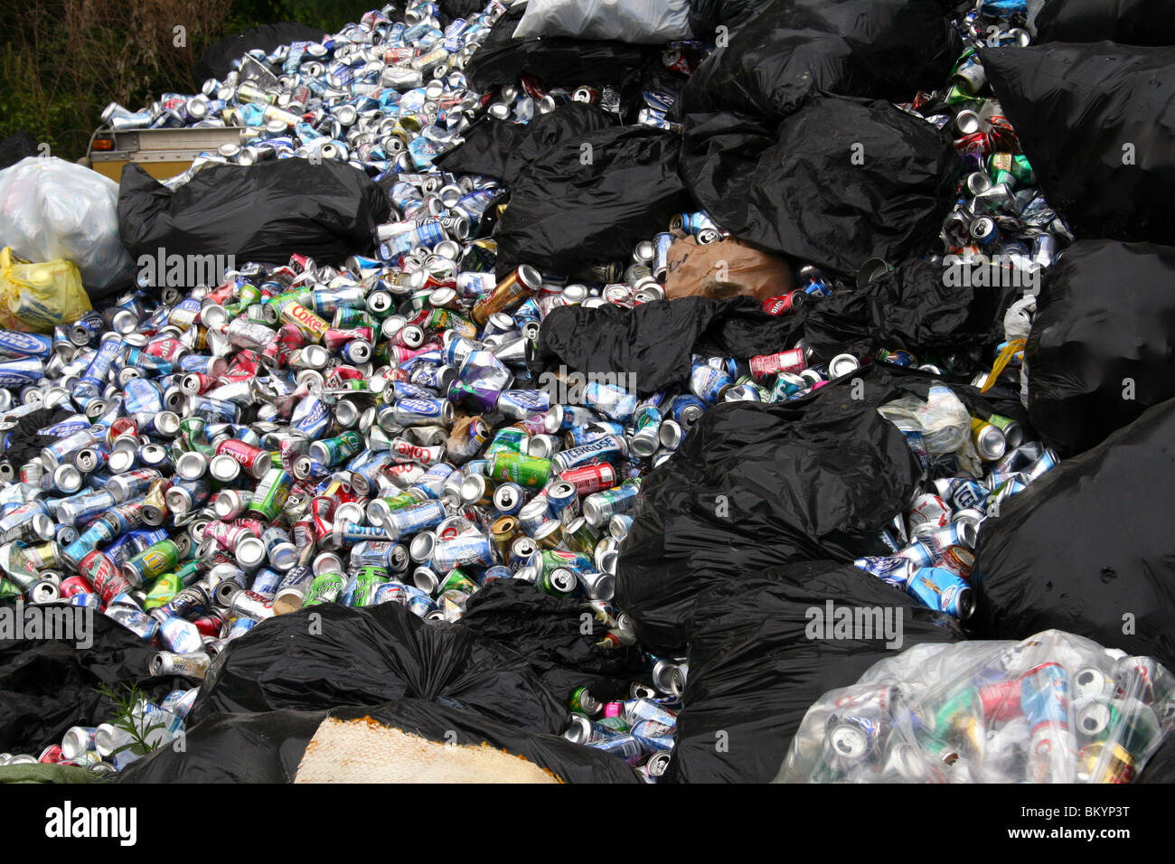 Collection of Aluminum beverage cans ready for recycling USA Stock ...