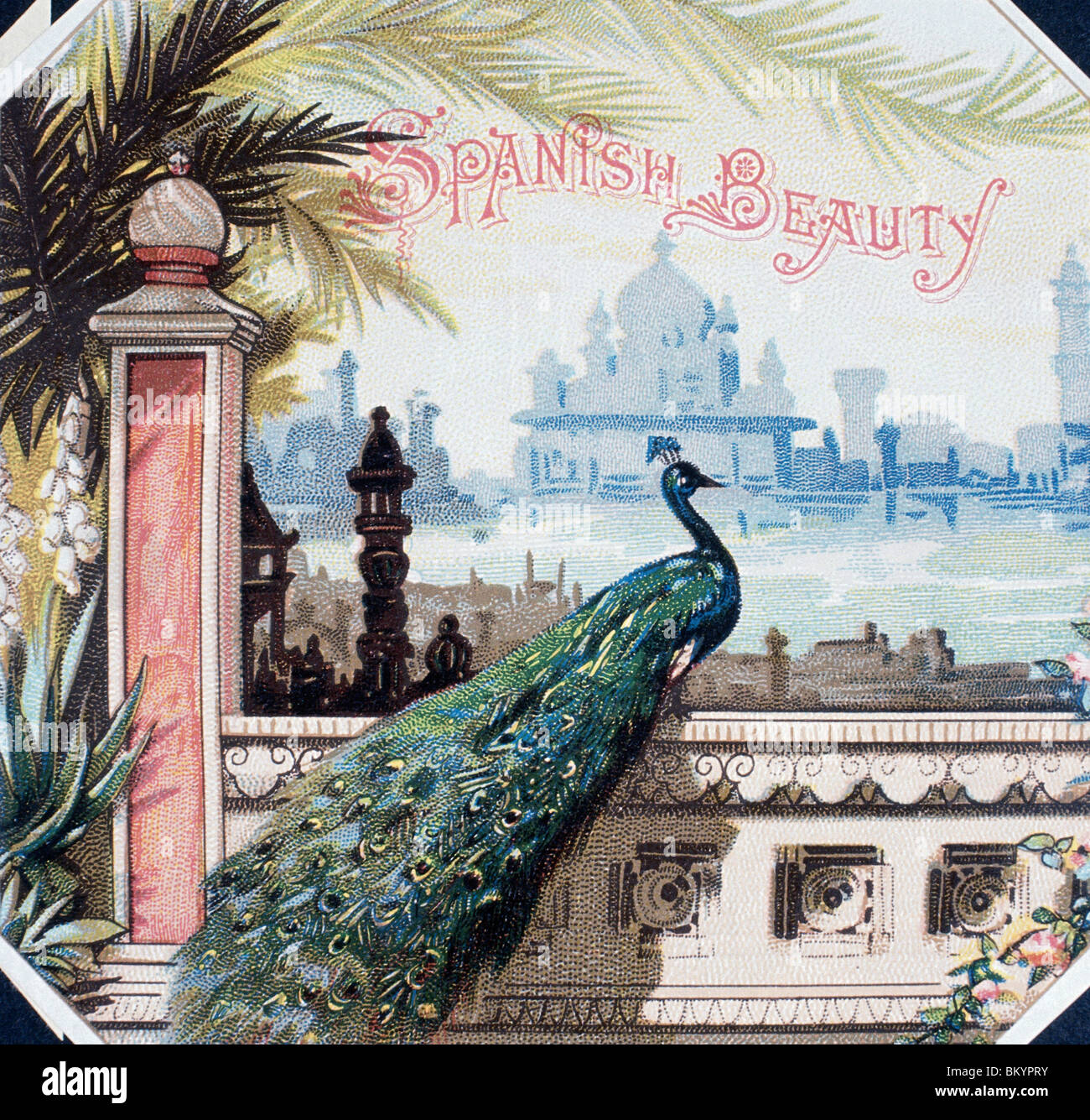 Spanish Beauty, Cigar box labels, 19th Century Stock Photo - Alamy