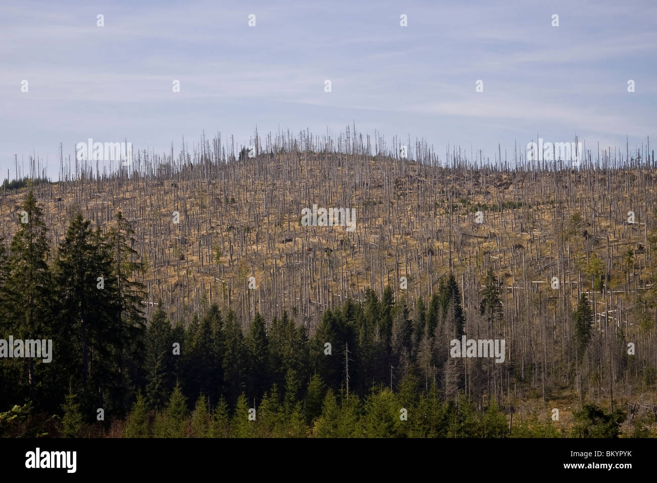 Sumava bohmen hi-res stock photography and images - Alamy