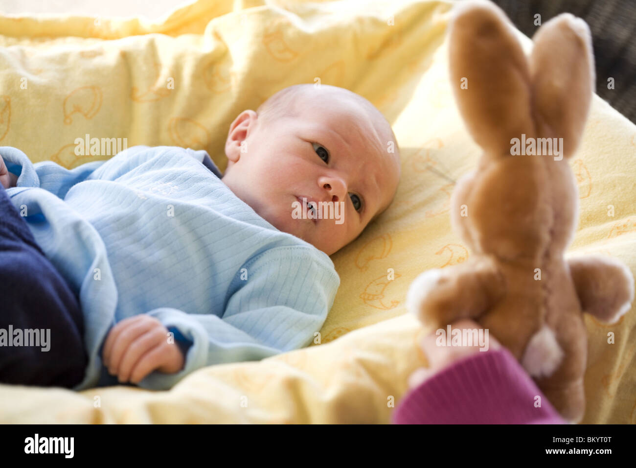 Soft cuddle hi-res stock photography and images - Alamy