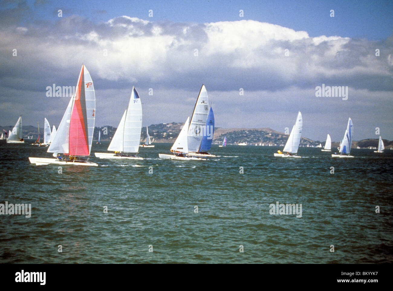 Small sailboats race in San Francisco Bay, California ocean sea water ...