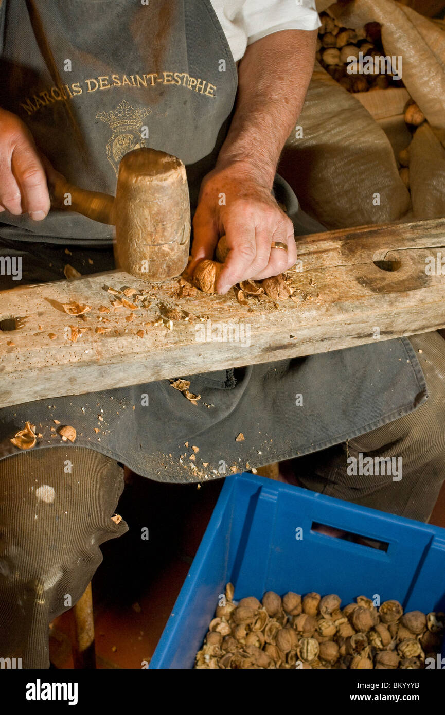 Walnut cracking hi-res stock photography and images - Alamy