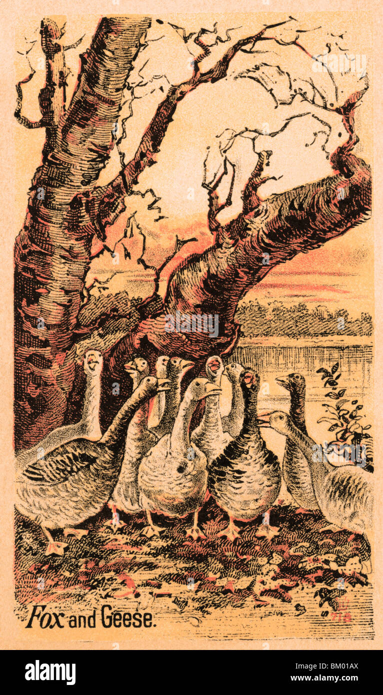 Fox and geese hi-res stock photography and images - Alamy