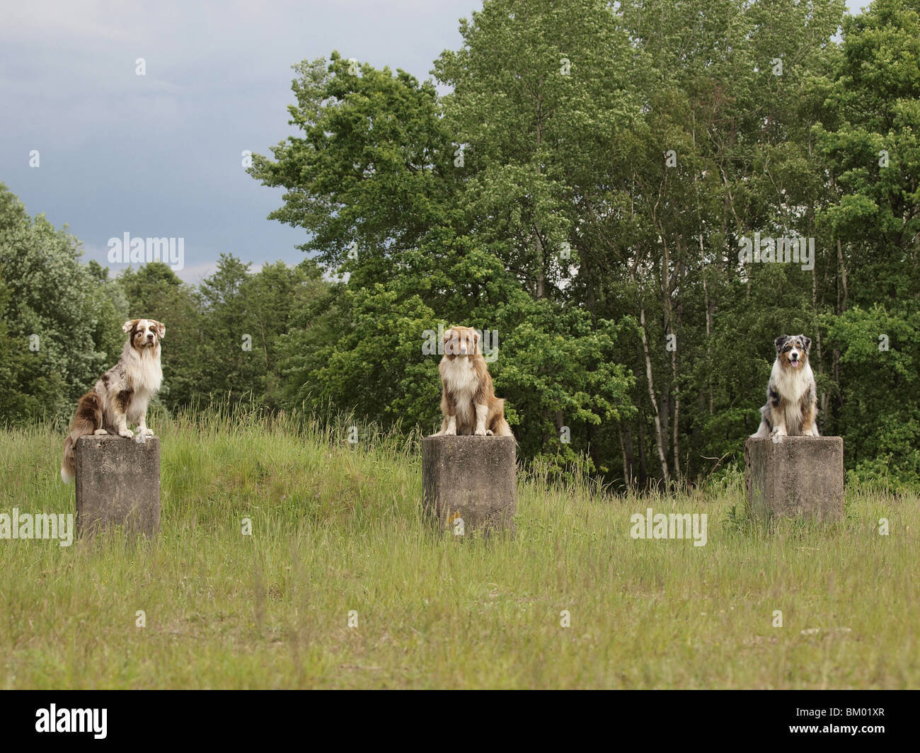 Rock three shepherds hi-res stock photography and images - Alamy Rock three shepherds hi-res stock photography and images - Alamy
