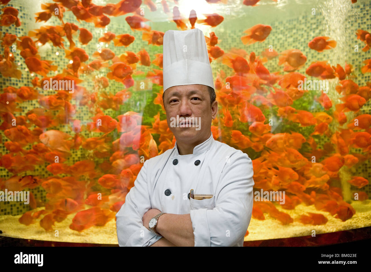 restaurant chef infront of aquarium Stock Photo - Alamy