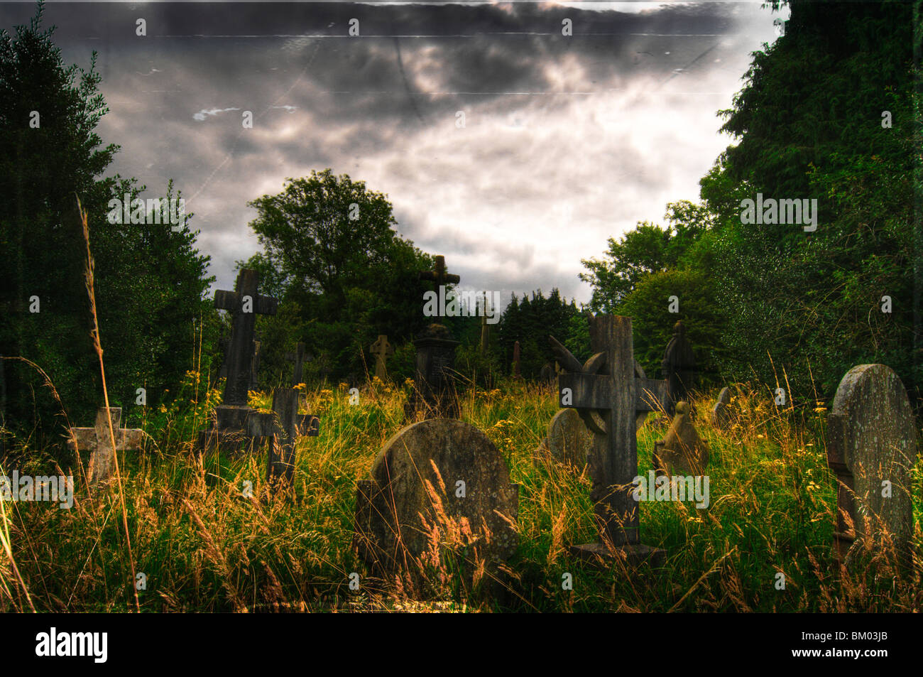 Gravestones at Cathays Cemetery, Cardiff Wales Stock Photo - Alamy
