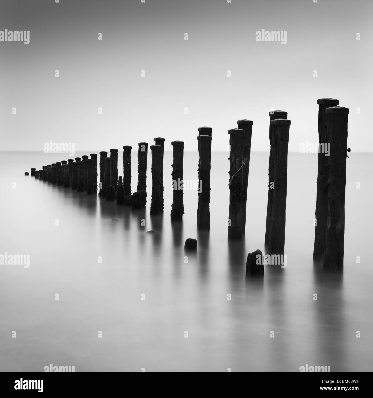 Groynes in the sea Stock Photo - Alamy