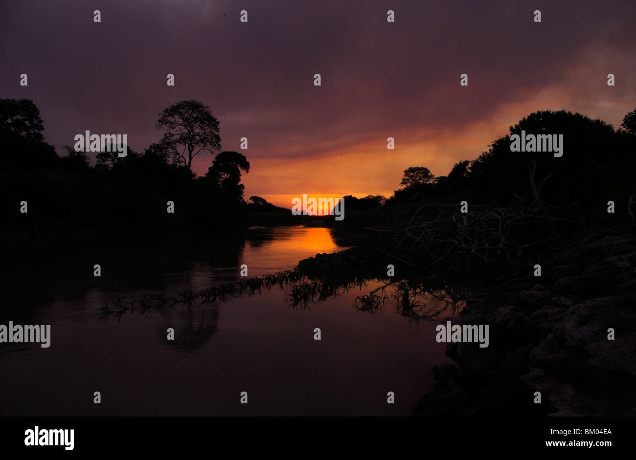 Los llanos, venezuela hi-res stock photography and images - Alamy