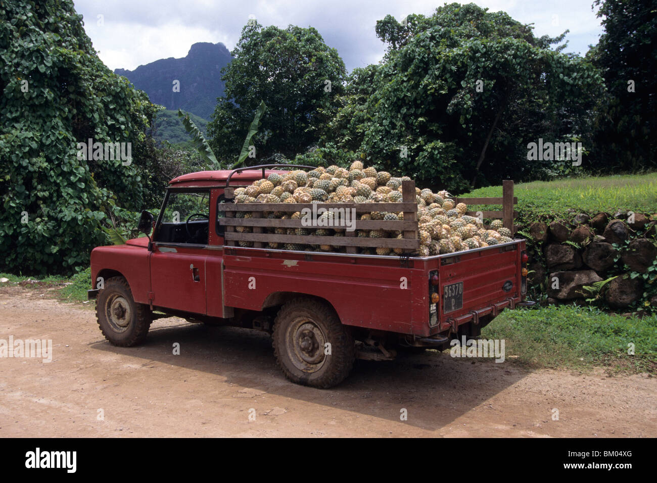 Pineapple Truck, Paopao Valley, Moorea, French Polynesia Stock Photo ...