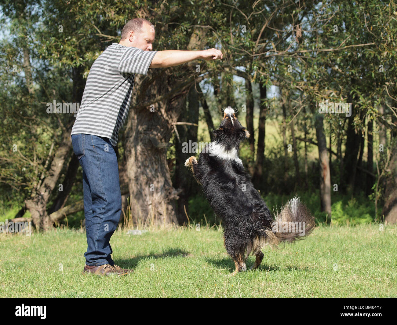 Shepherd dances hi-res stock photography and images - Alamy