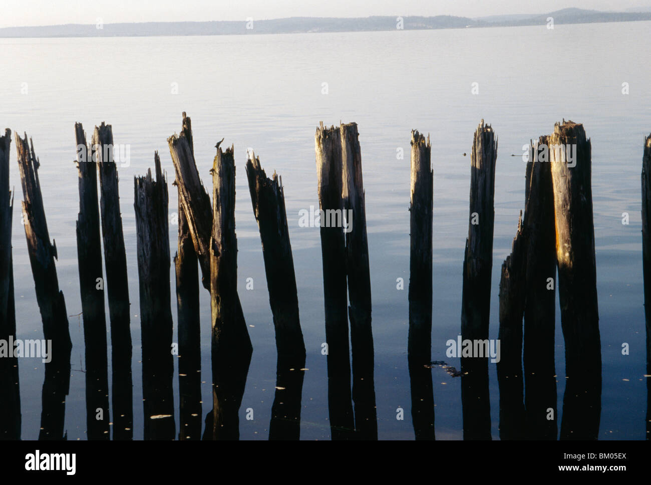 Wooden posts in river Stock Photo - Alamy