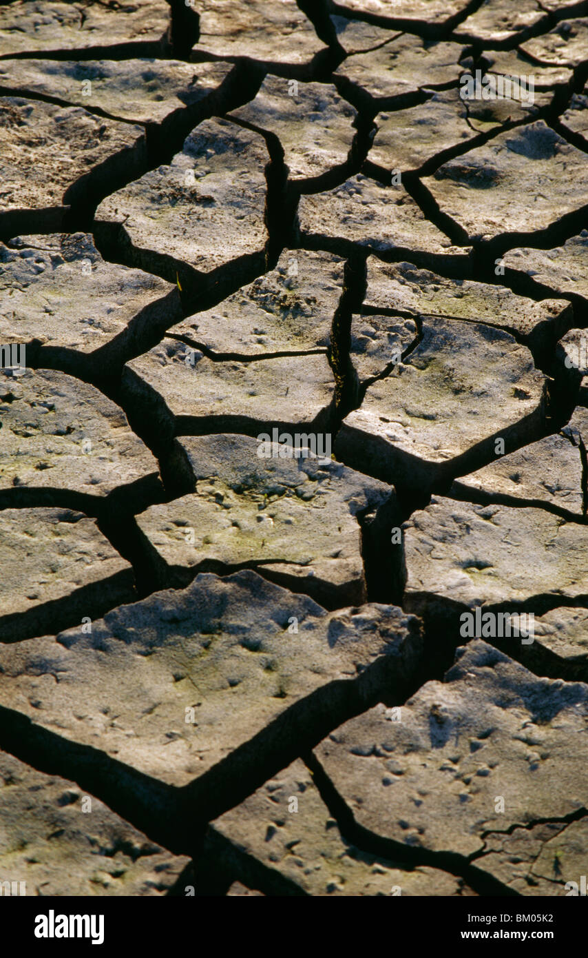 Textured cracked landscape Stock Photo - Alamy