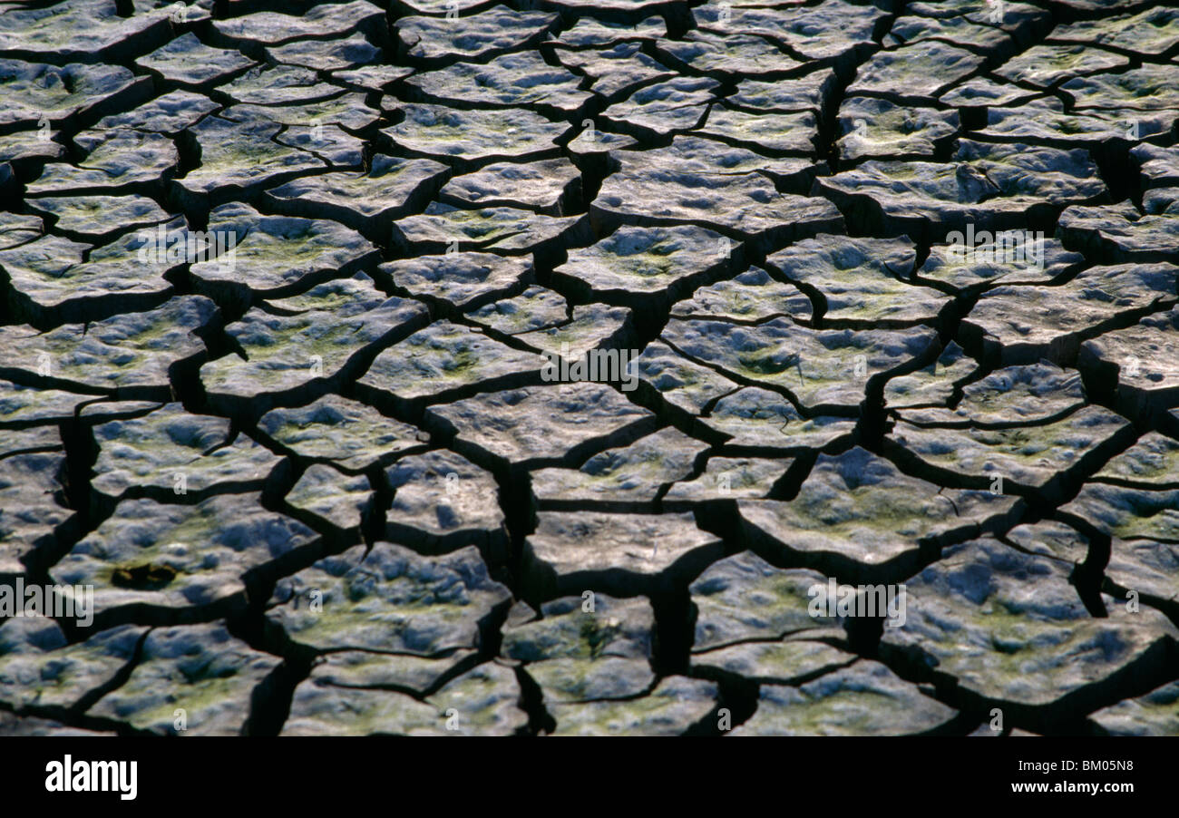 Textured cracked landscape Stock Photo - Alamy