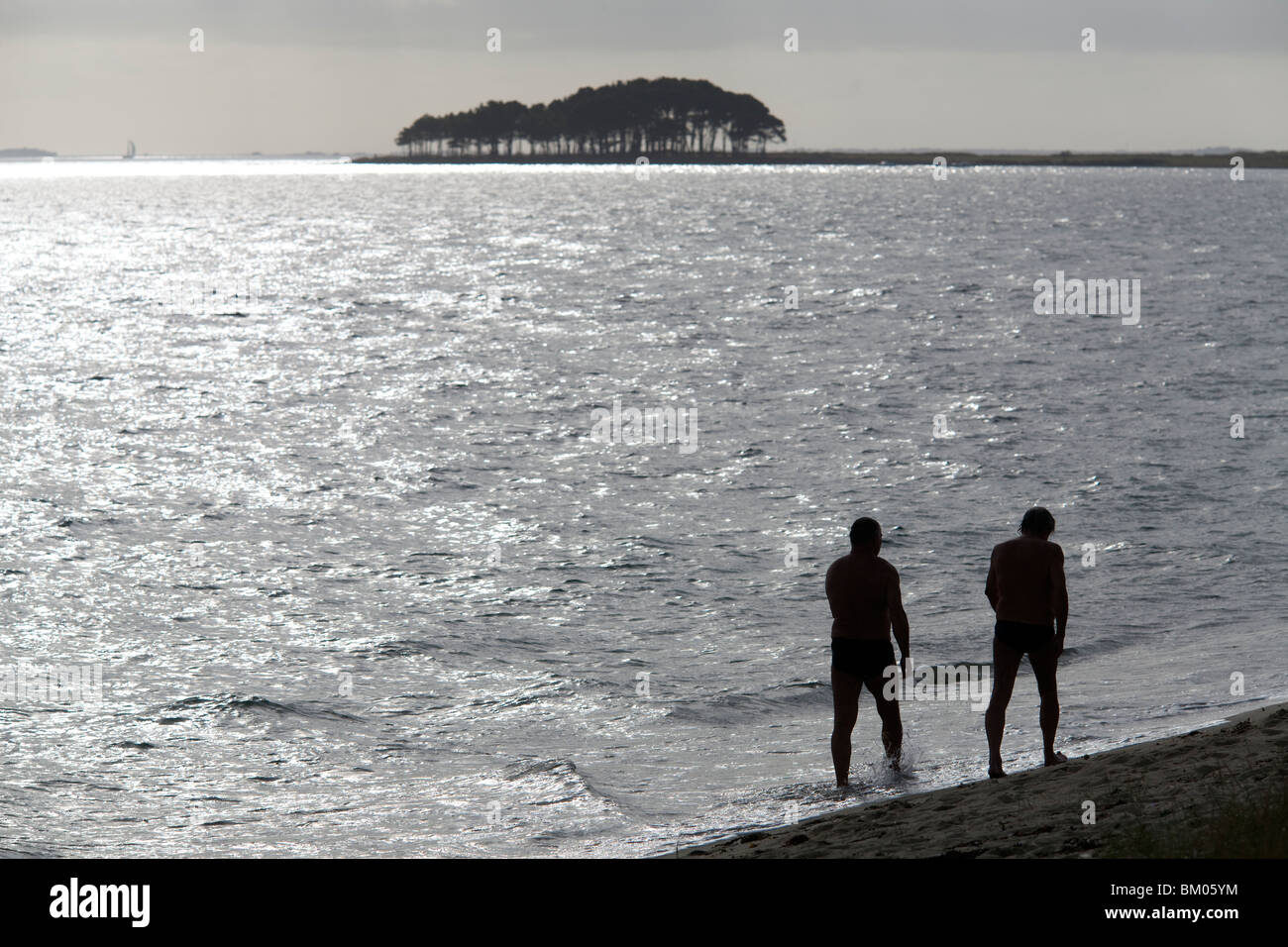 Pointe de Kerpenhir, town of Locmariaquer, departament of Morbihan ...