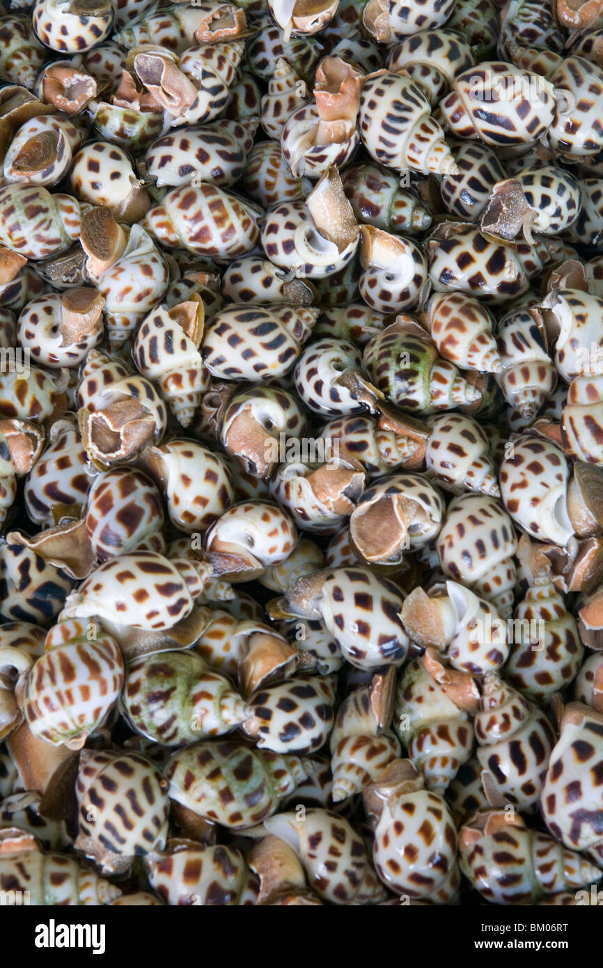 Chuen kee seafood restaurant hi-res stock photography and images - Alamy