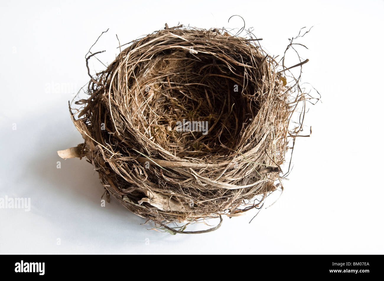 Angry Birds Empty Nest