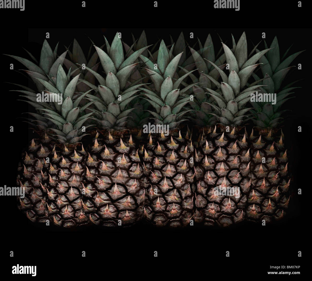 A group of pineapples Stock Photo - Alamy