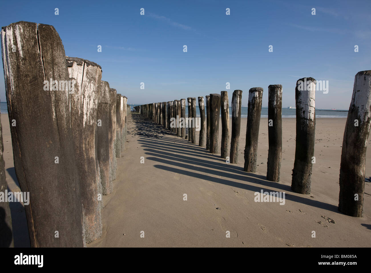 Wooden Piling High Resolution Stock Photography and Images - Alamy