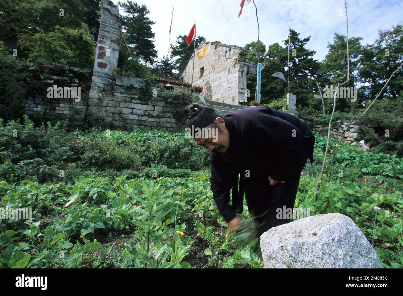 Self elevation hi-res stock photography and images - Alamy