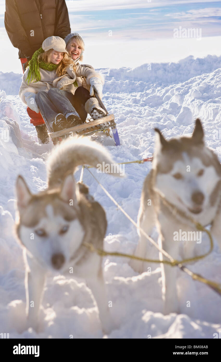 Winter tour with dog sledge Stock Photo - Alamy