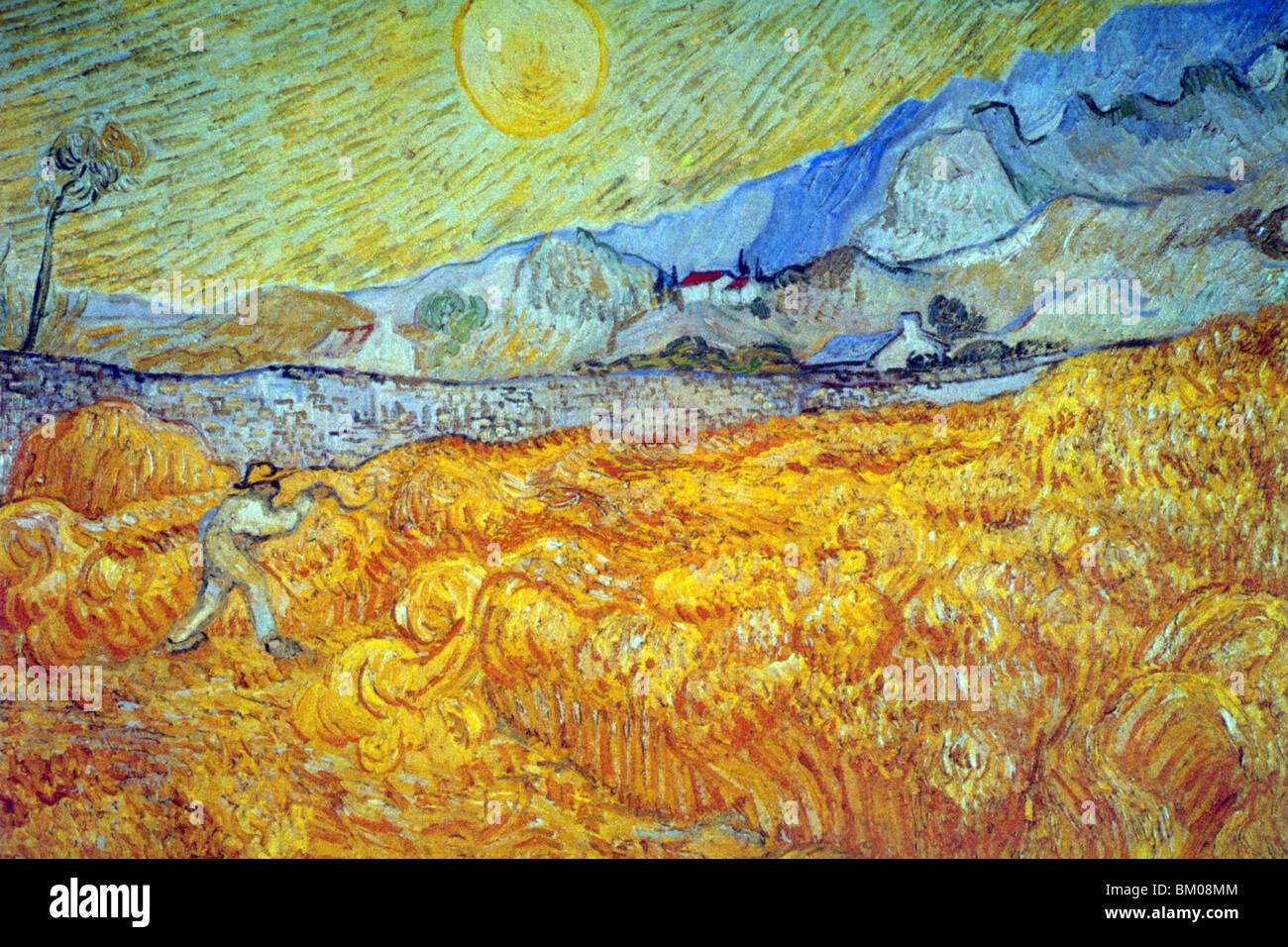 Van gogh field sun hi-res stock photography and images - Alamy