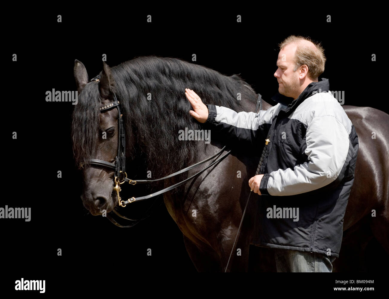 man and Frisian Stock Photo - Alamy