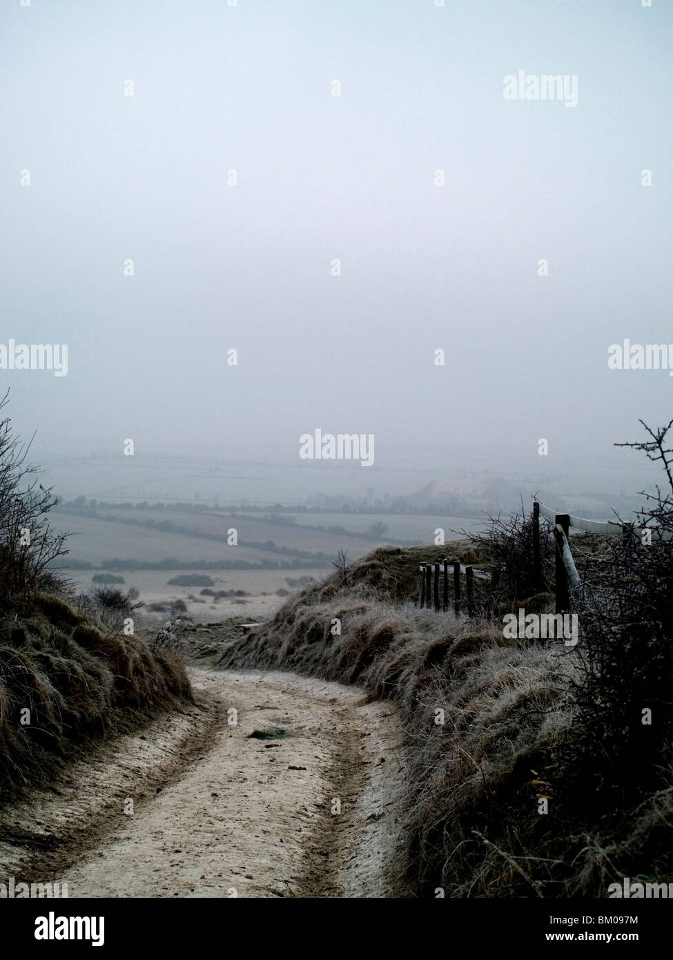 Country lane hi-res stock photography and images - Alamy