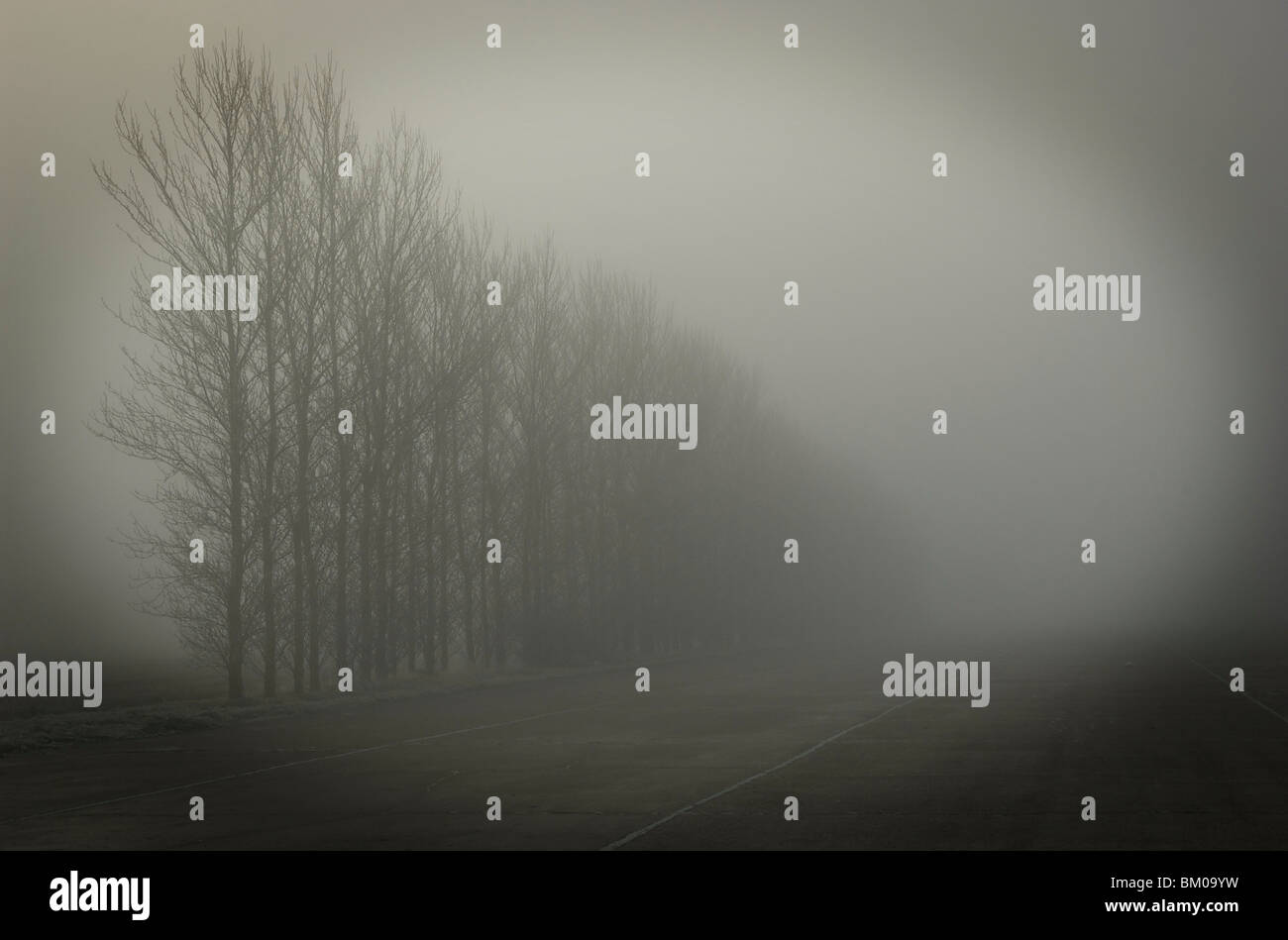 Mist shrouding trees in winter over Eye airfield Suffolk England Stock ...