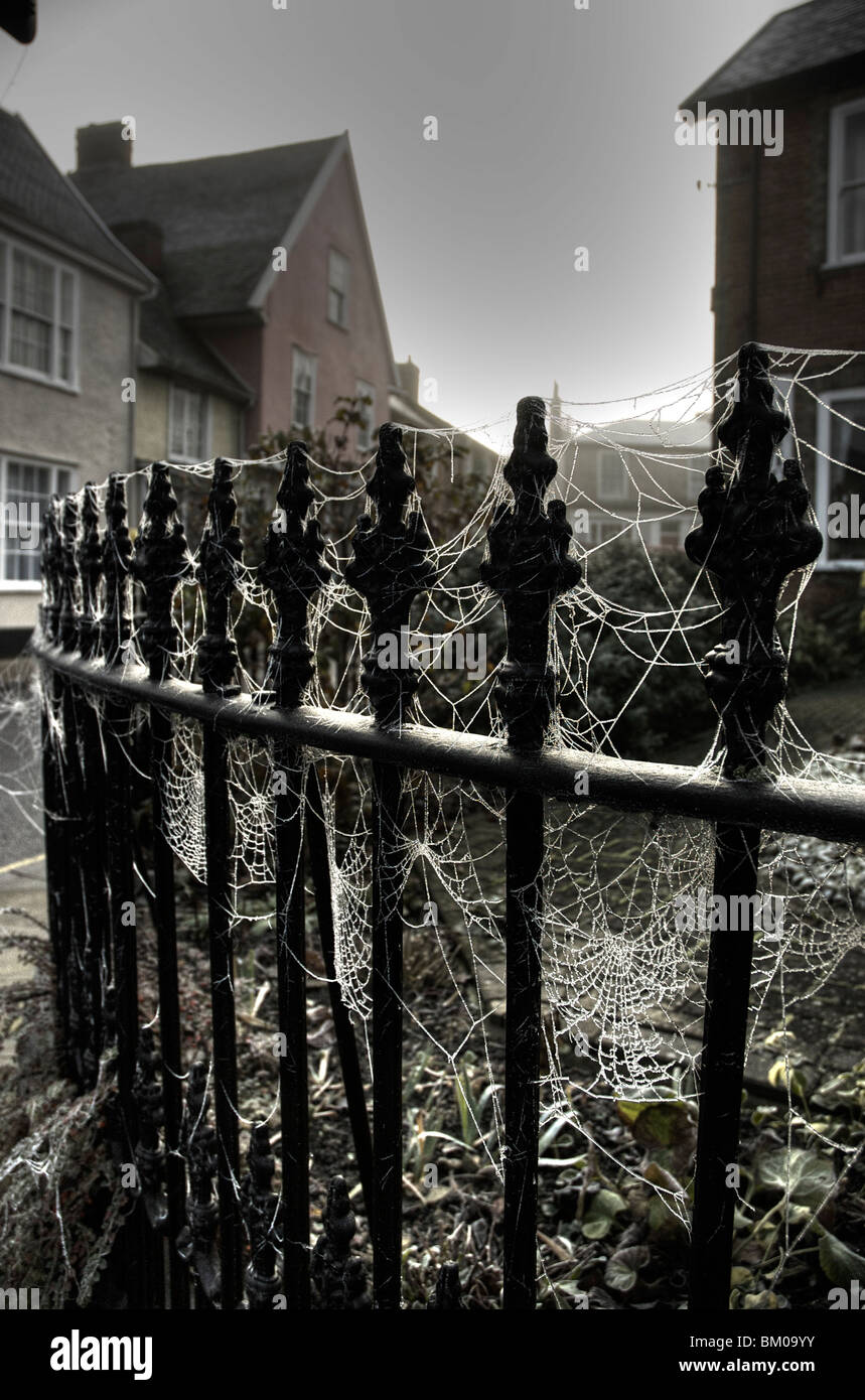 Cobwebs on fence hi-res stock photography and images - Alamy