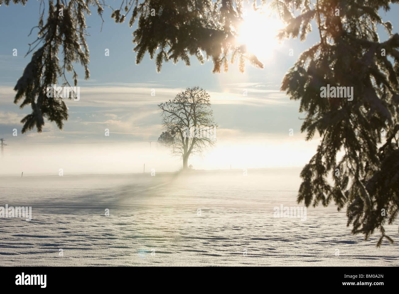 Winter sun hi-res stock photography and images - Alamy