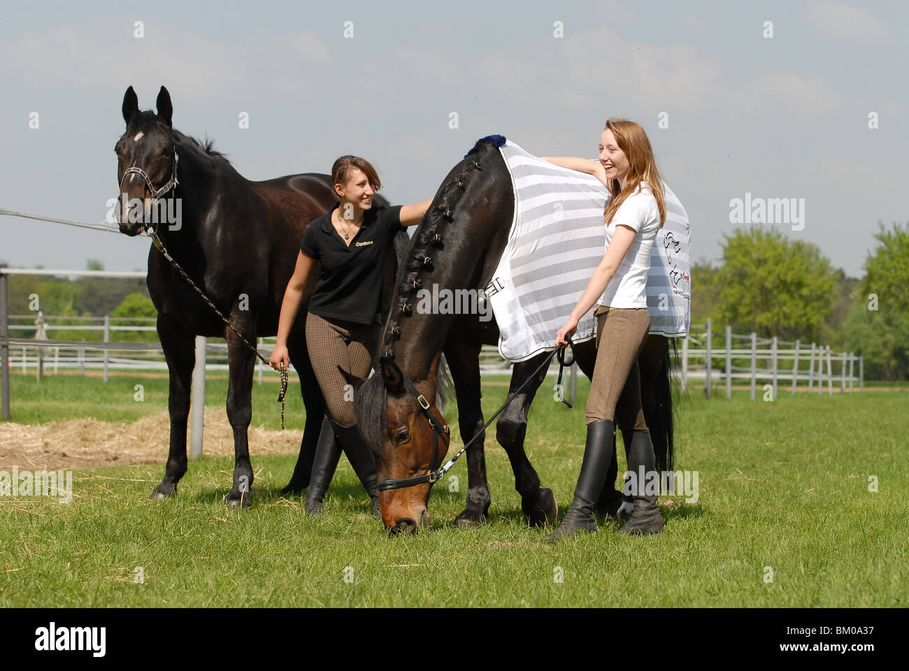 women and Holsteiner horses Stock Photo - Alamy