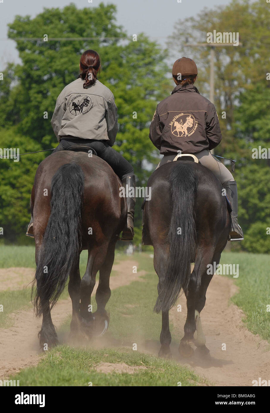 Woman riding horse back view hat hi-res stock photography and images ...