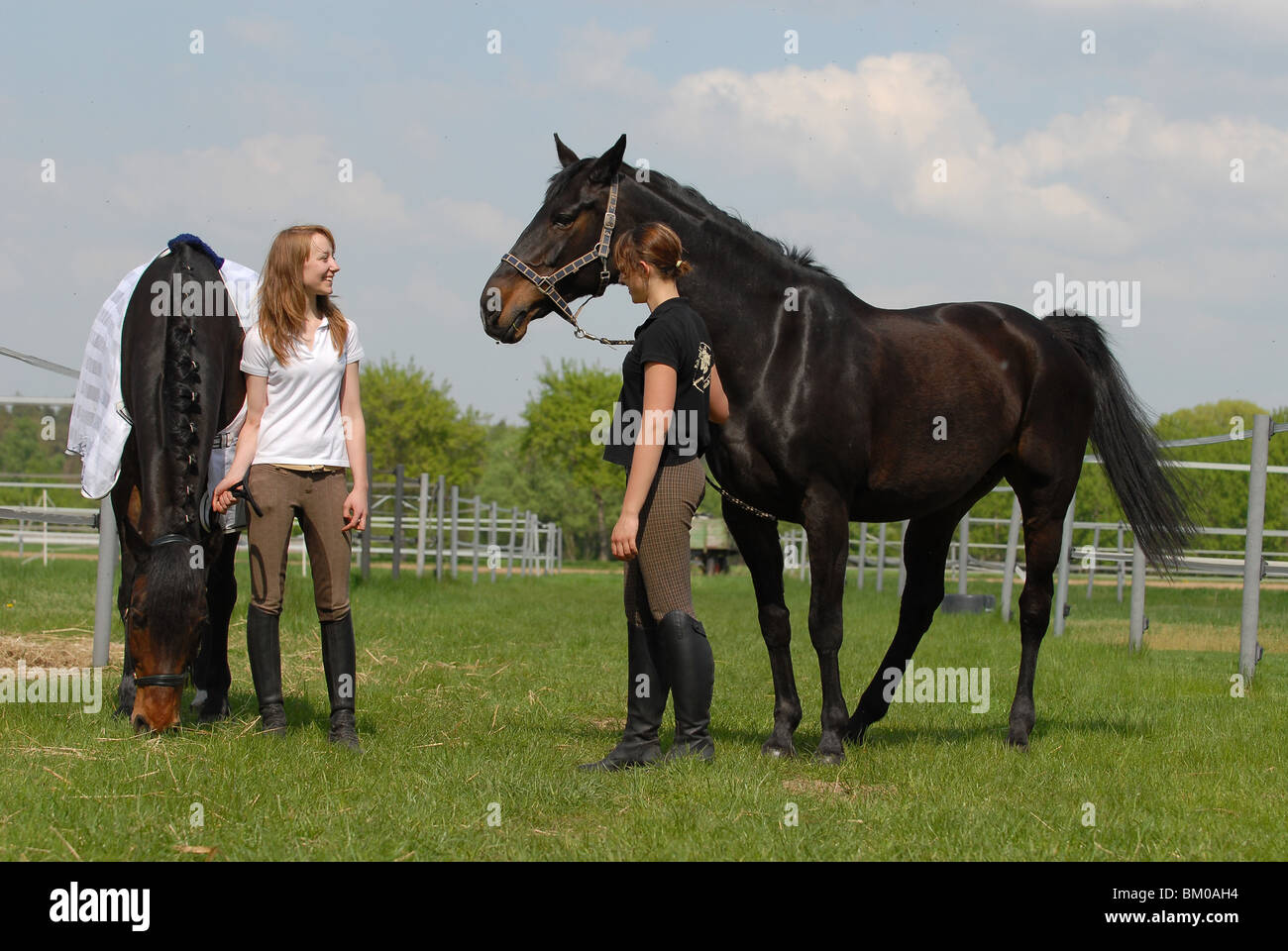women and Holsteiner horses Stock Photo - Alamy