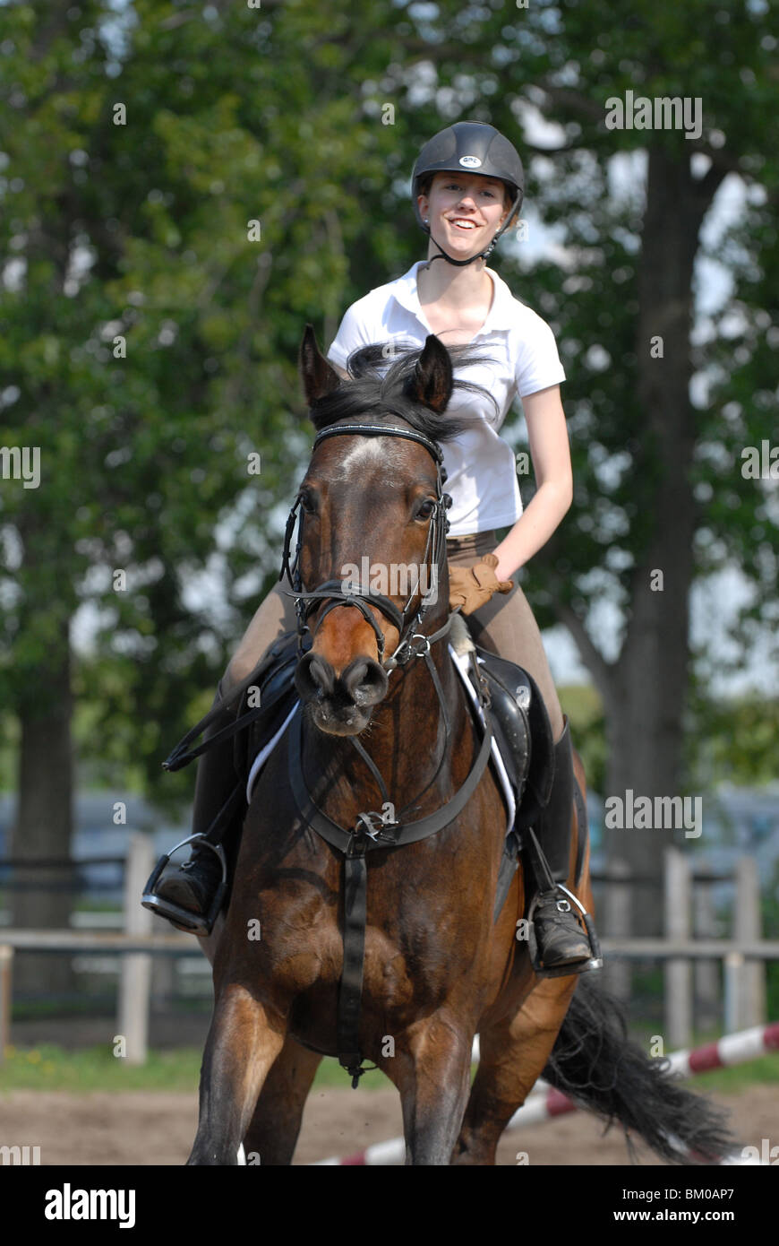 woman rids Holsteiner horse Stock Photo - Alamy