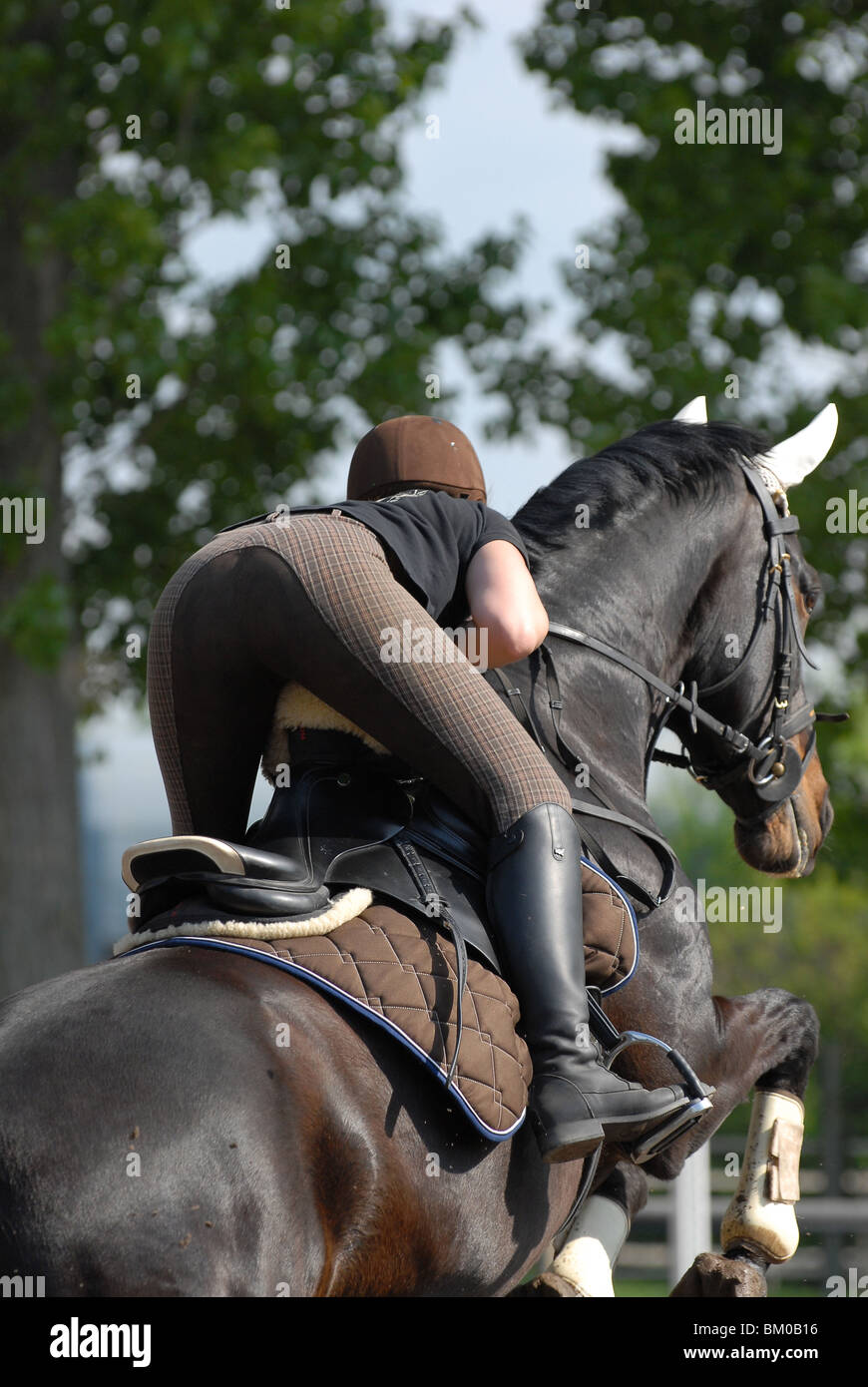 Back view horse jumping hi-res stock photography and images - Alamy
