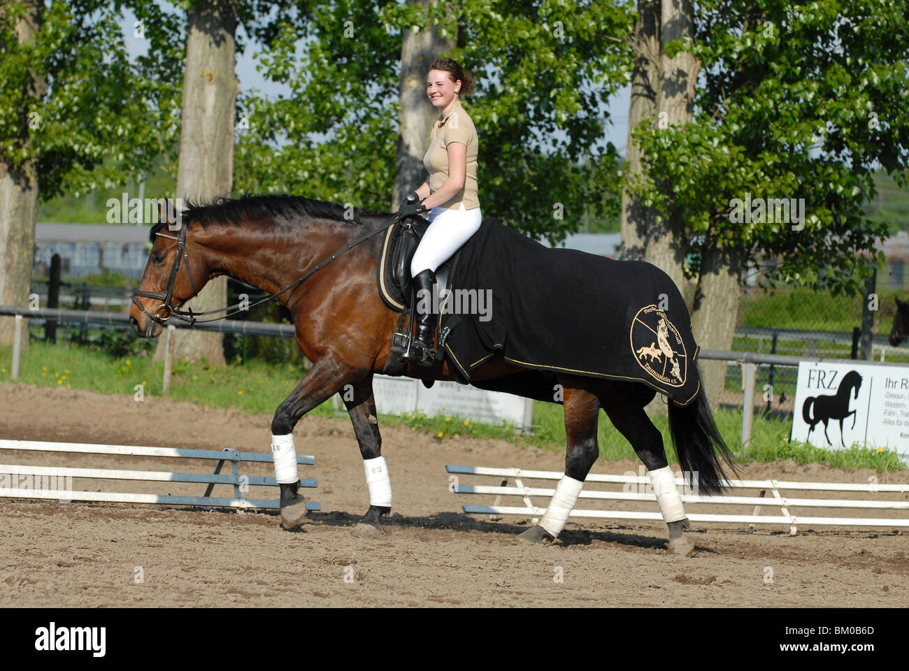Horse rugs hi-res stock photography and images - Alamy
