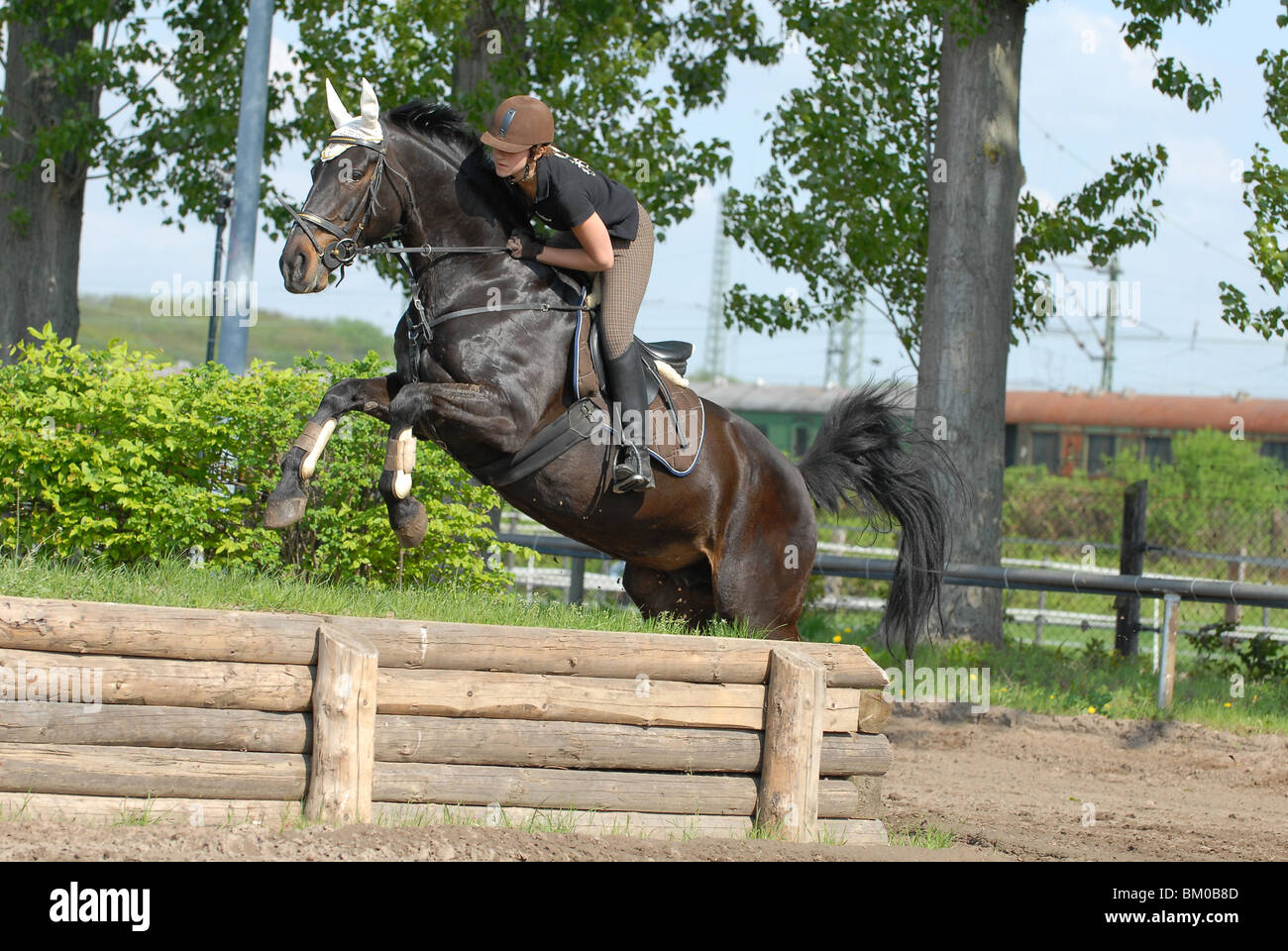 Horse safety eventing hi-res stock photography and images - Alamy