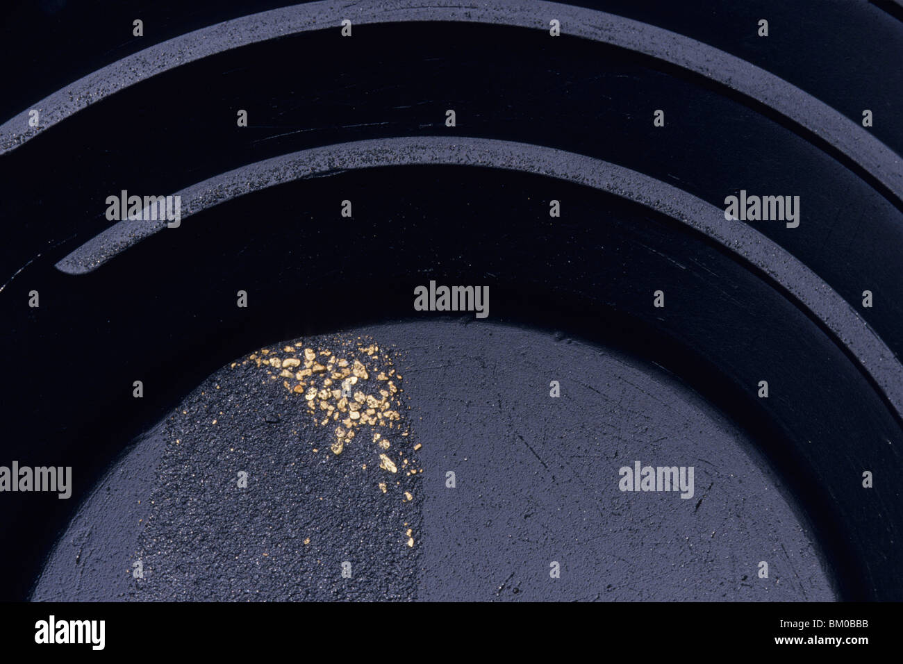 Gold Dust in Goldpan, Gold Prospecting Expeditions, Jamestown ...