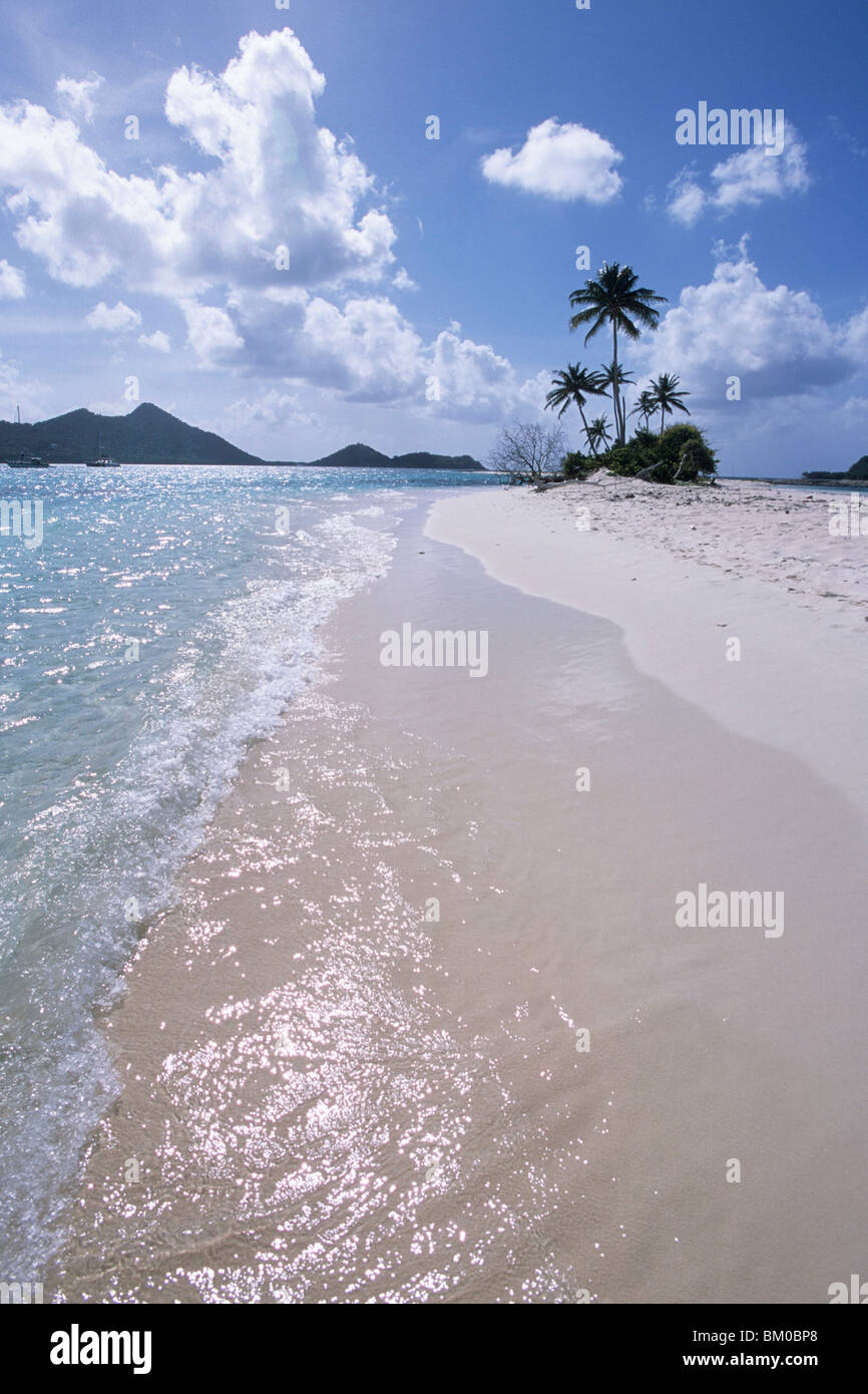 A beach on Sandy Island, Carriacou, Grenada, Carribean Stock Photo - Alamy