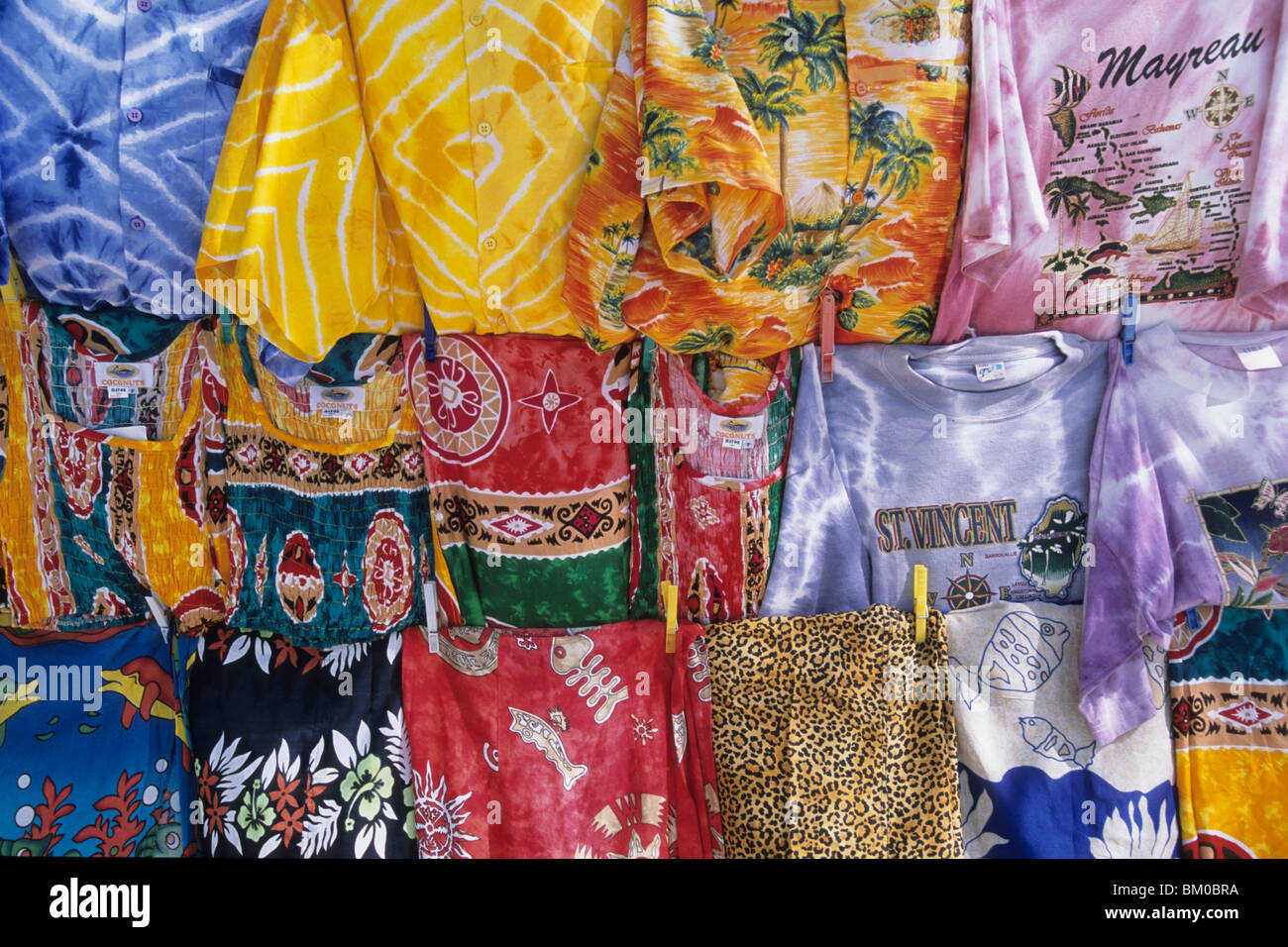 Rameau hi-res stock photography and images - Alamy