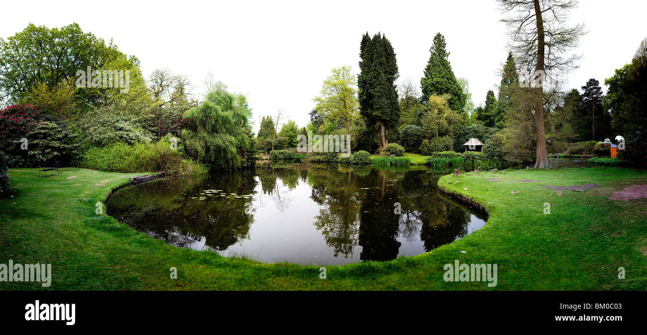 Panorama of a lake inside the gardens at Tatton Park Stock Photo - Alamy