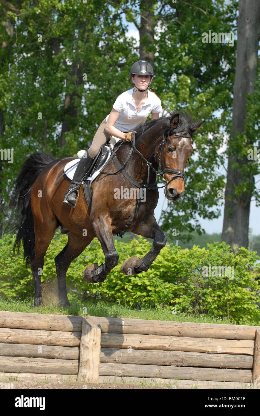 Holsteiner Horse Jumping