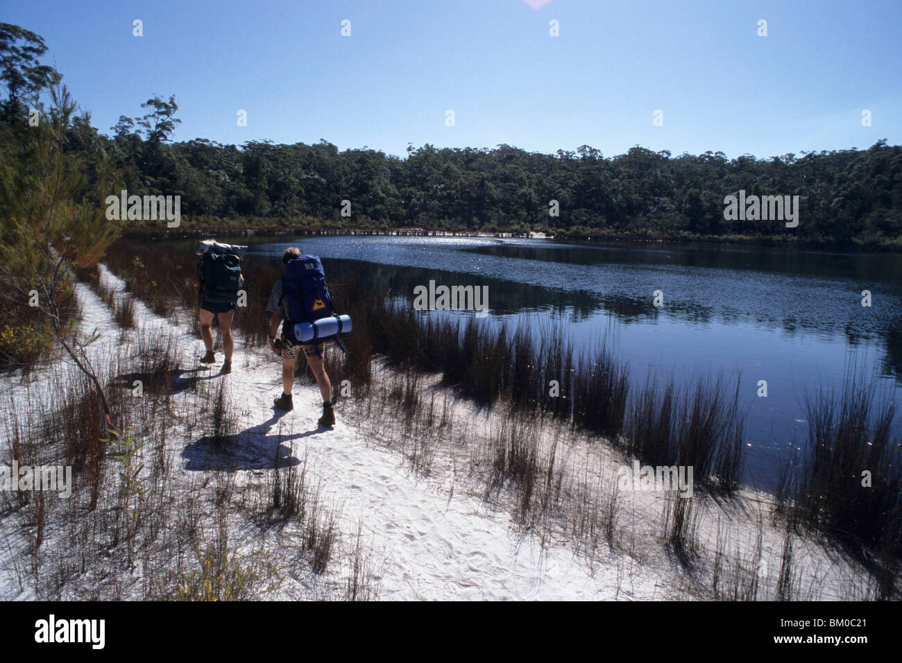 Bushwalkers hi-res stock photography and images - Alamy